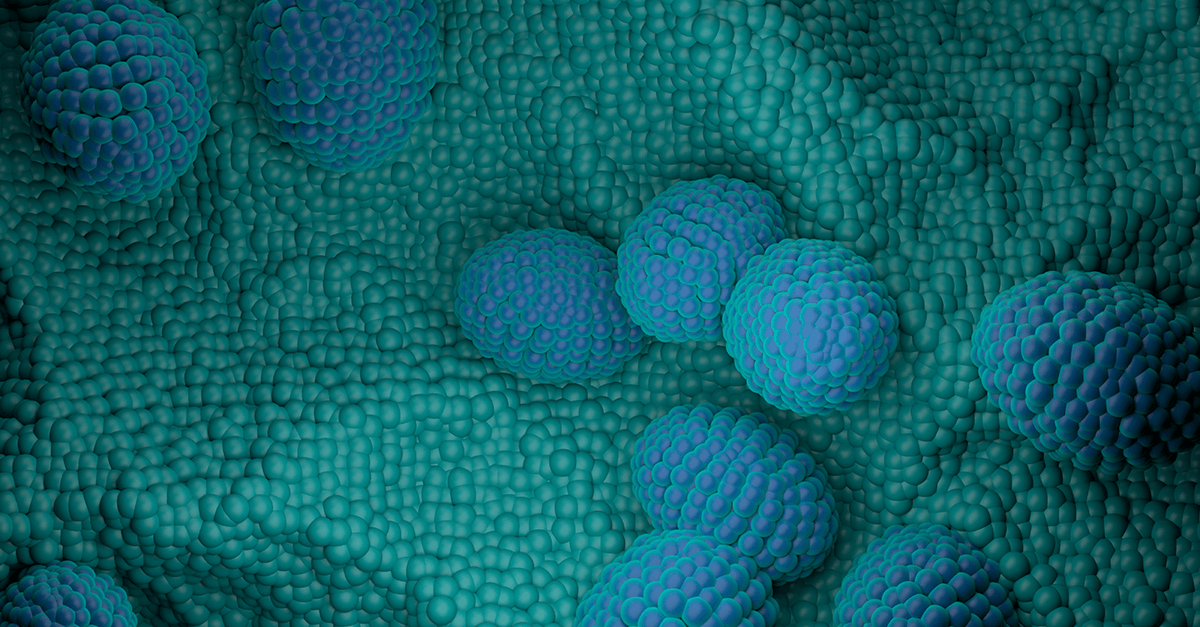 Paper Spotlight: Single-cell analysis of human primary prostate cancer ...