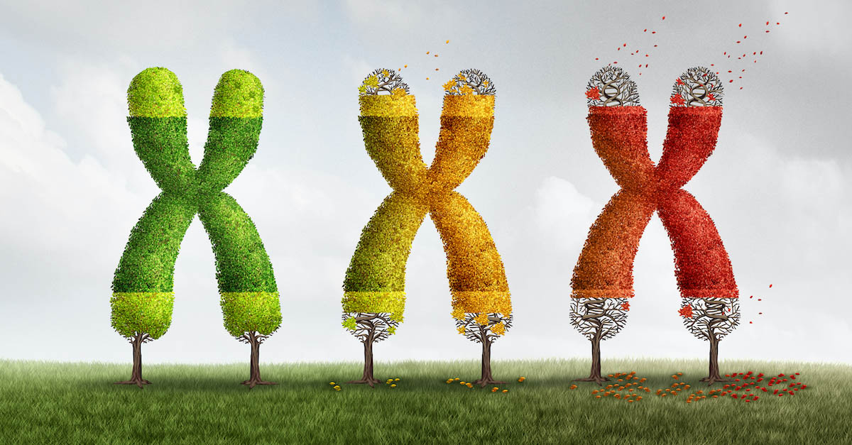 Calling variants from telomere to telomere with the new T2T-CHM13 ...